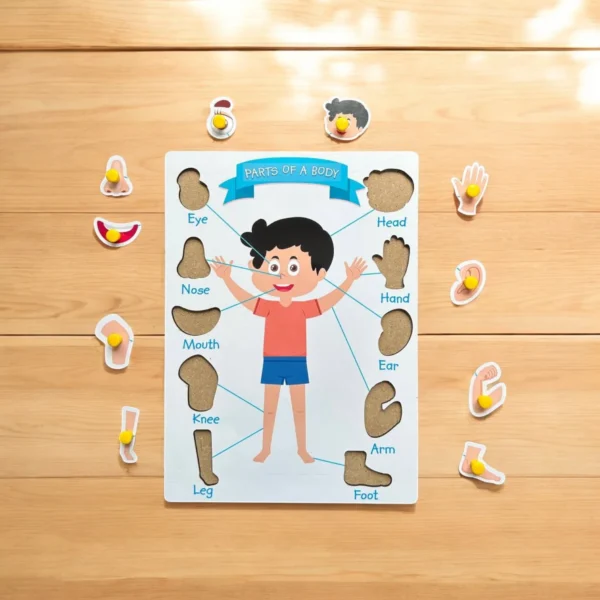 Parts Of the Body Peg Puzzle - handsonkit.com